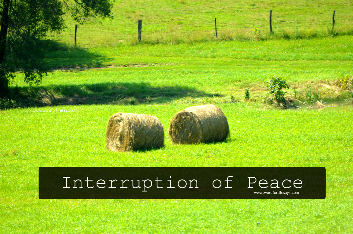 “Interruption of Peace” – Word For Life Says…