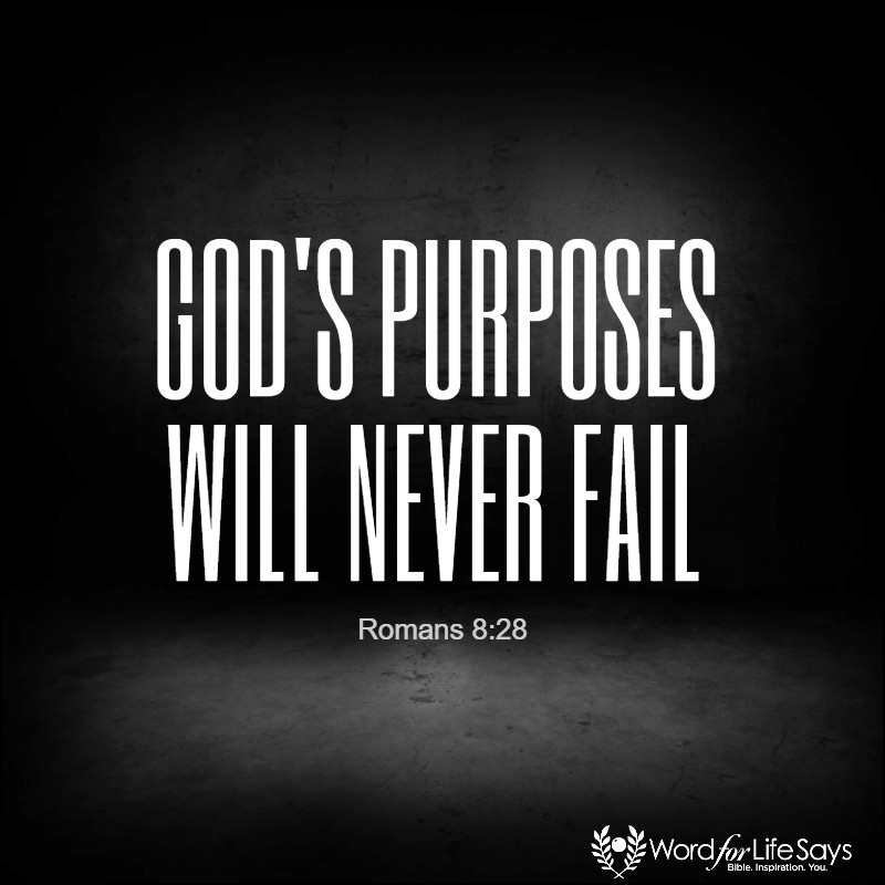 According to His Purpose… – Word For Life Says…