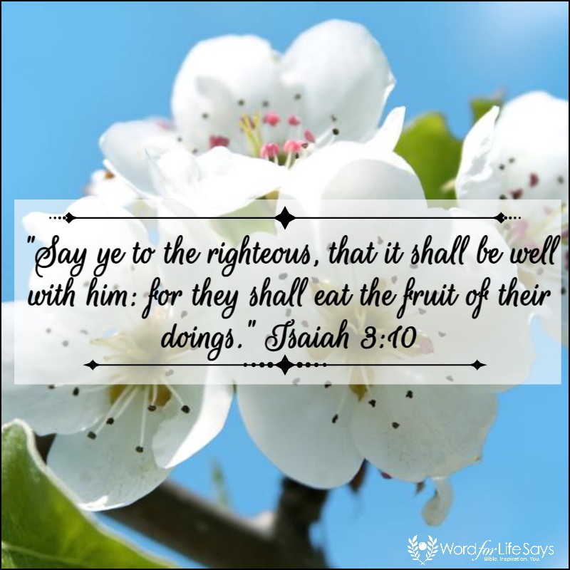 The Reward of Remaining Righteous – Word For Life Says…