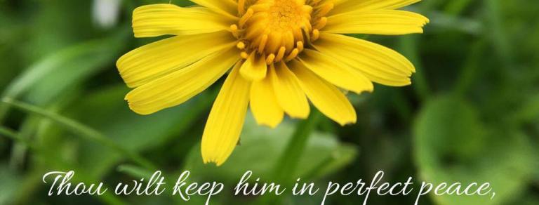Thou wilt keep him in perfect peace… – Word For Life Says…