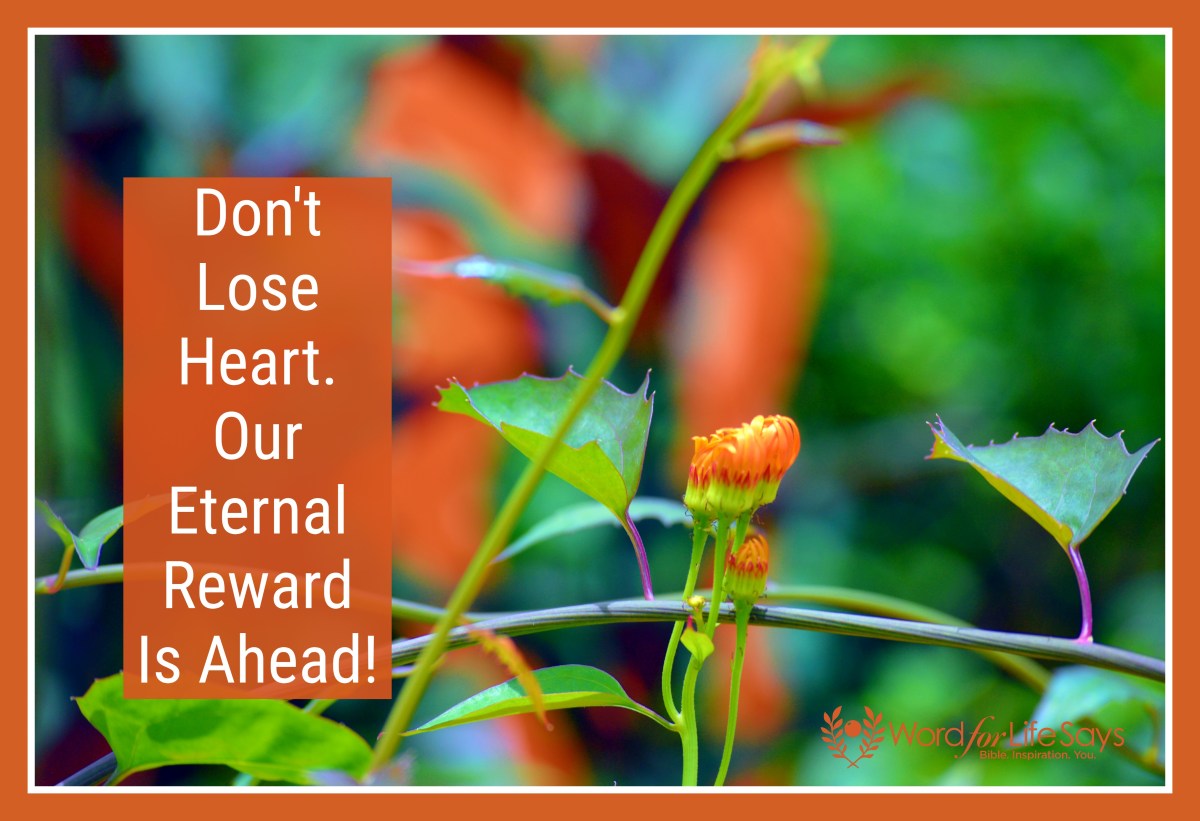 Don’t Lose Heart – Word For Life Says…