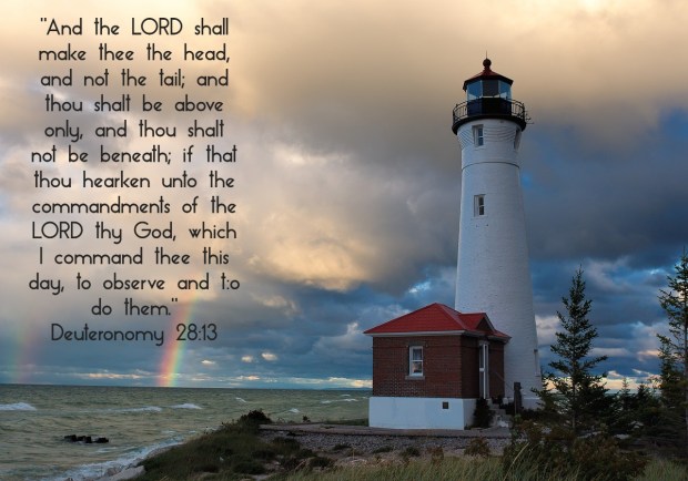 Morning Verse | The Head and Not the Tail – Word For Life Says…