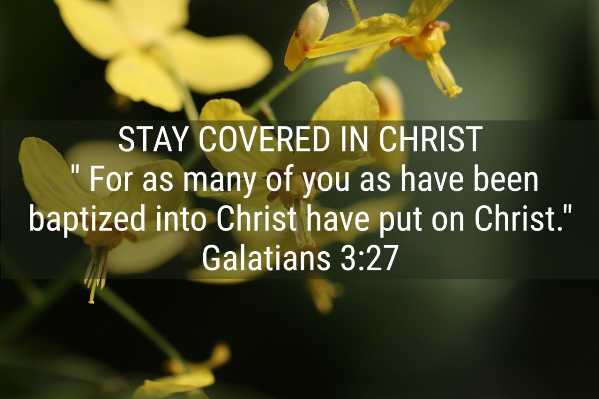 Stay Covered in Christ – Word For Life Says…