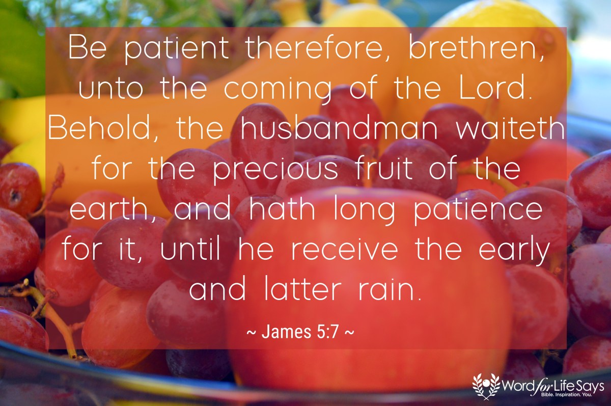 Be Patient | Words to Live By – Word For Life Says…
